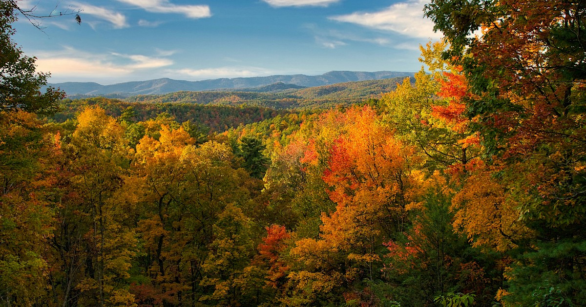 Babie leto: Ako vznikol tento poetický názov pre neskorú jeseň?